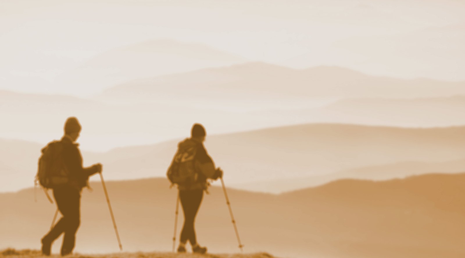 About My Internet Scout | My Internet Scout