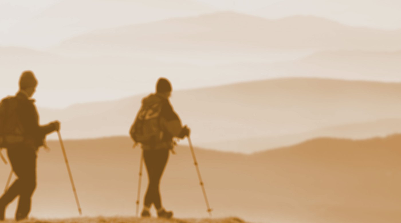 About Us – My Internet Scout | My Internet Scout